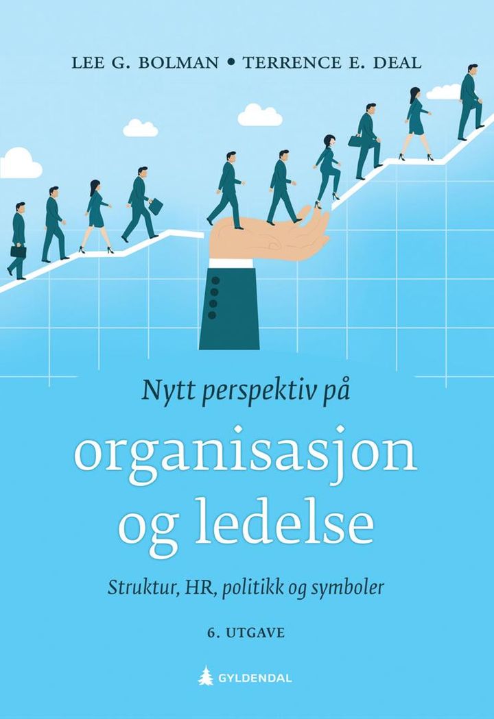 Nytt perspektiv på organisasjon og ledelse : strukturer, HR, politikk ...