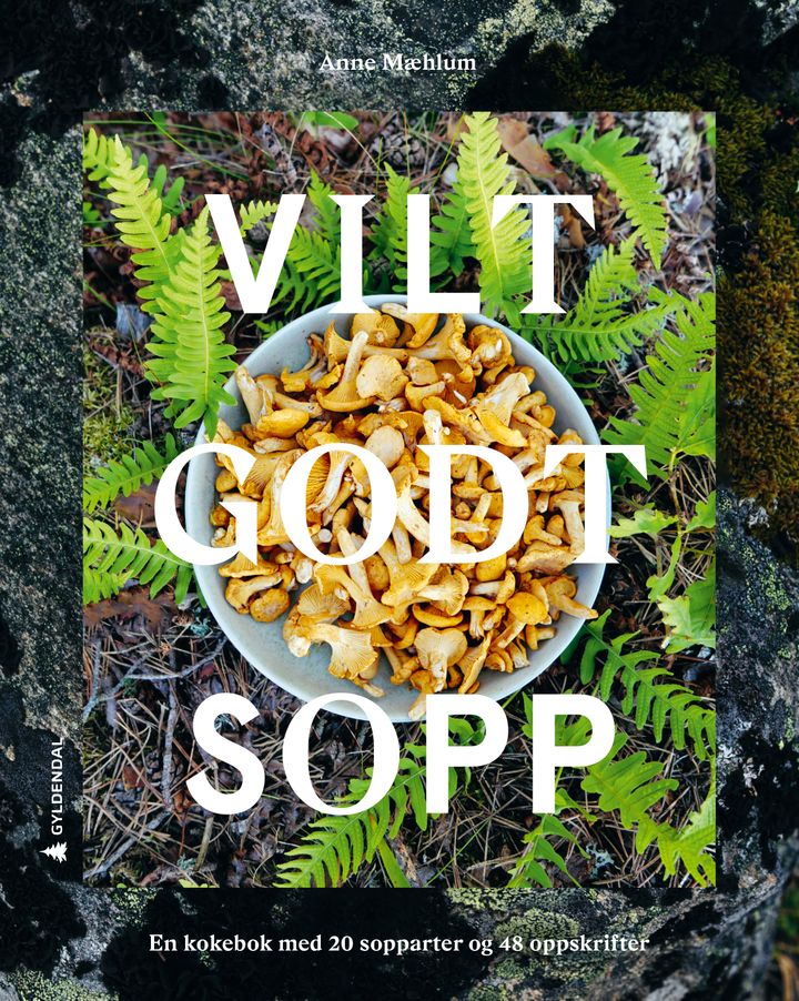 Vilt godt sopp : en kokebok med 20 sopparter og 48 oppskrifter • 2023 ...