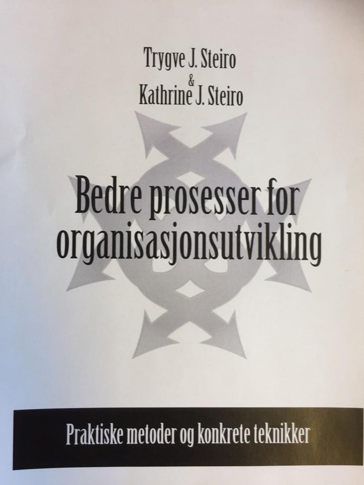 Bedre prosesser for organisasjonsutvikling : praktiske metoder og ...